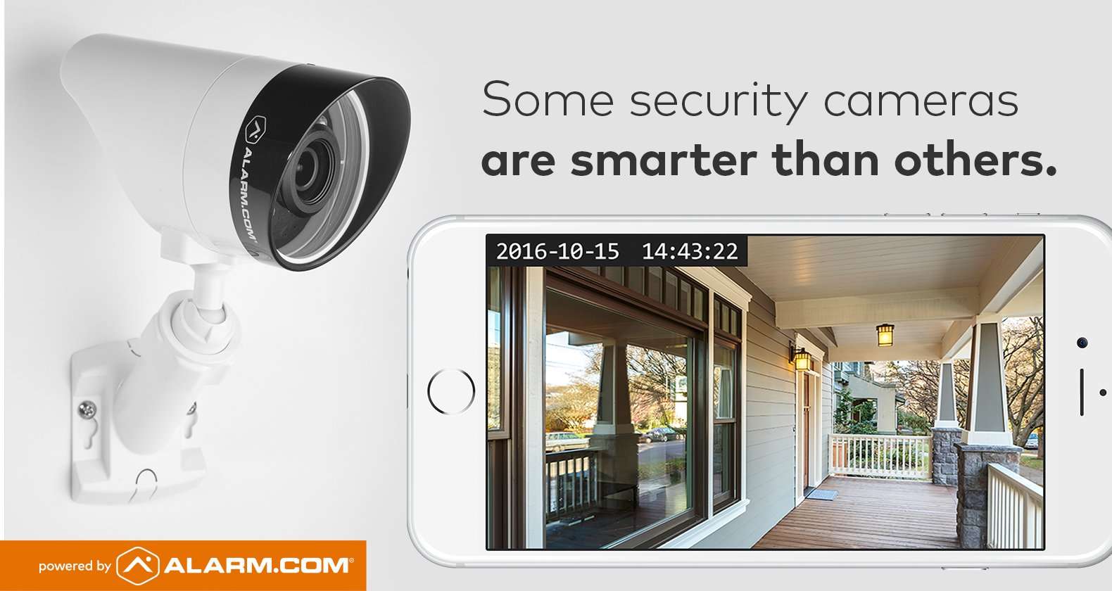 Our Services » HSI Security Services